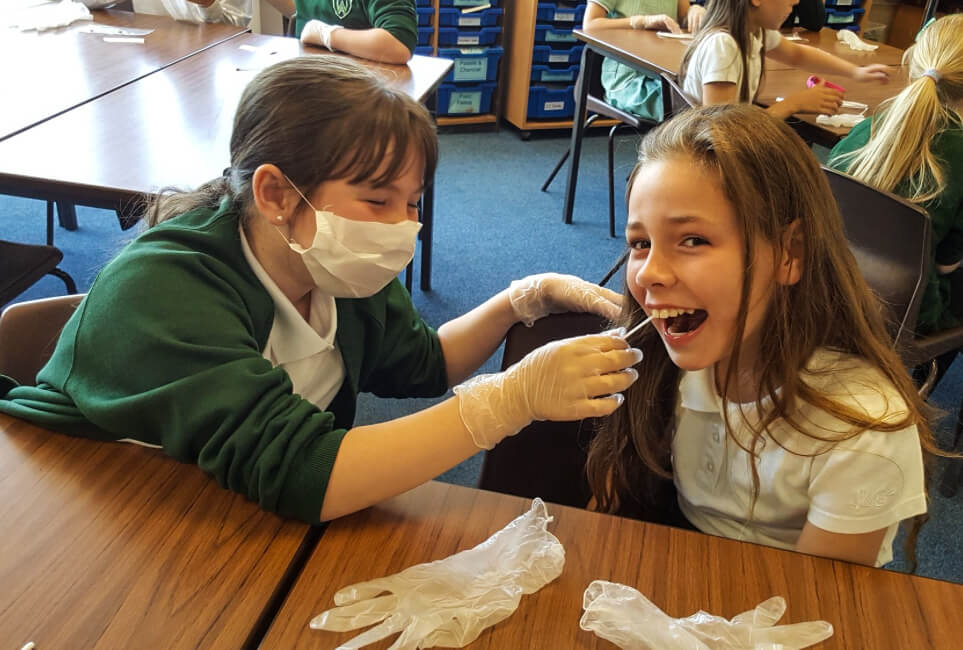 Hot Product - Students investigating murder in schools! Crime scene to ...