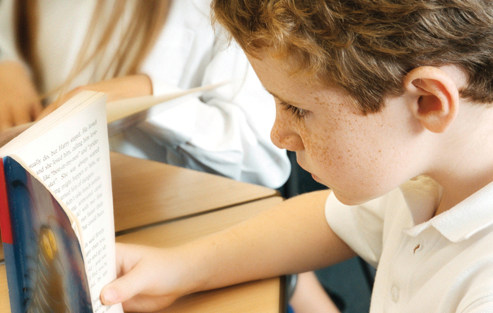 Take The Reading Audit And Discover Your School’s Reading Strengths ...