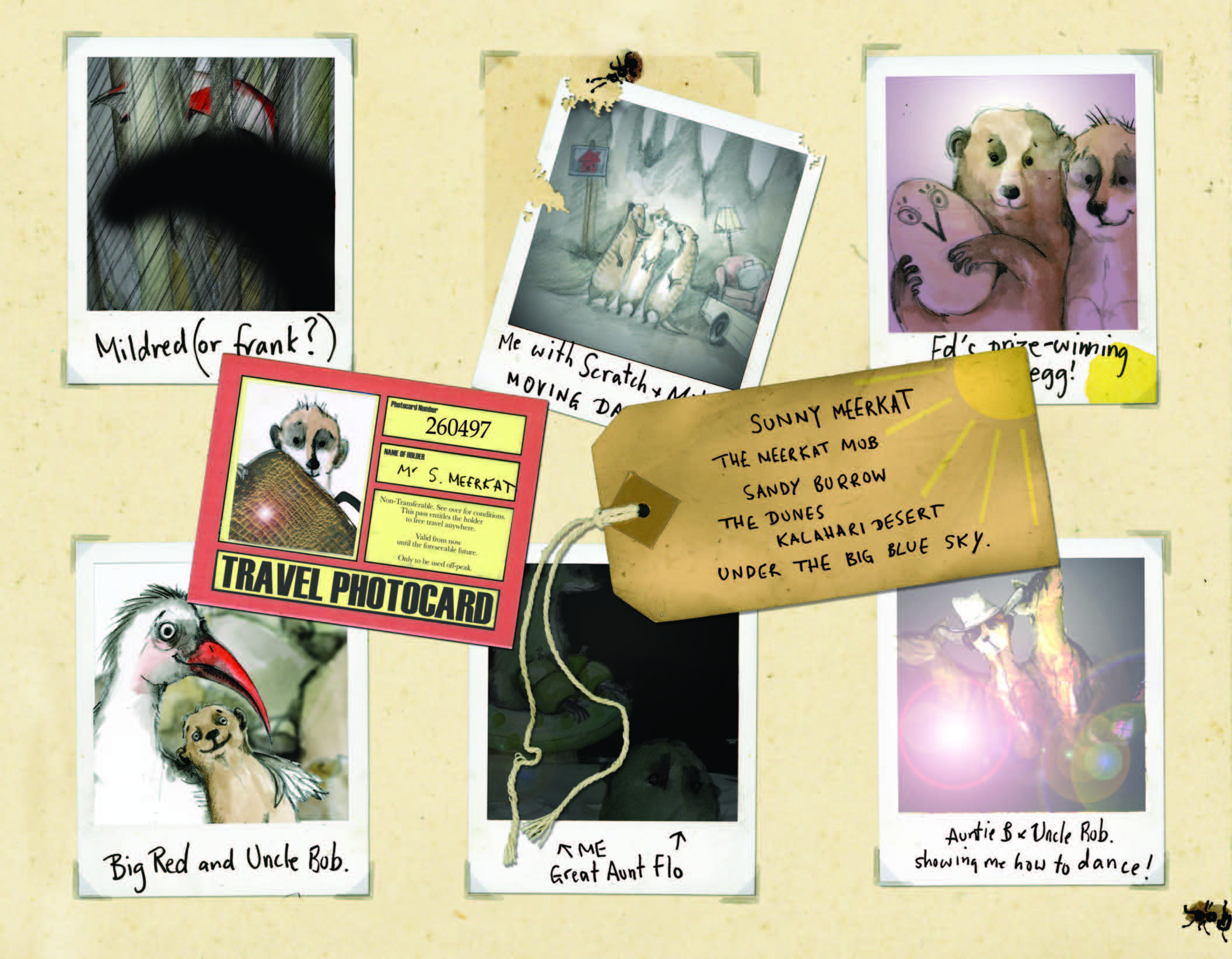 KS1 Book topic: Meerkat Mail | Teach Primary