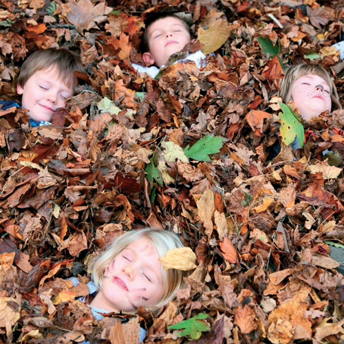 Teaching hibernation | Teach Primary