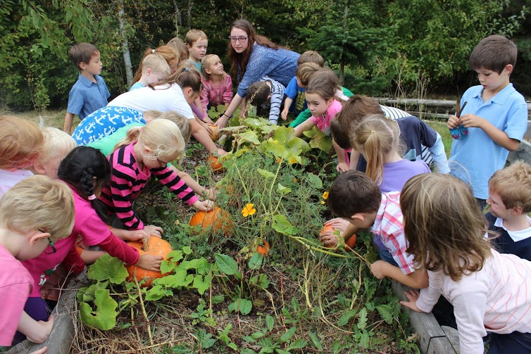 Patch Work | Teach Primary